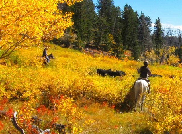 September 2003 - Bitterroot Ranch