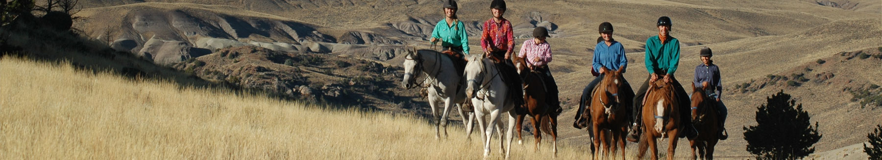 Ranchferien in Amerika; ausgezeichnete Pferde und Viehtrieb ...