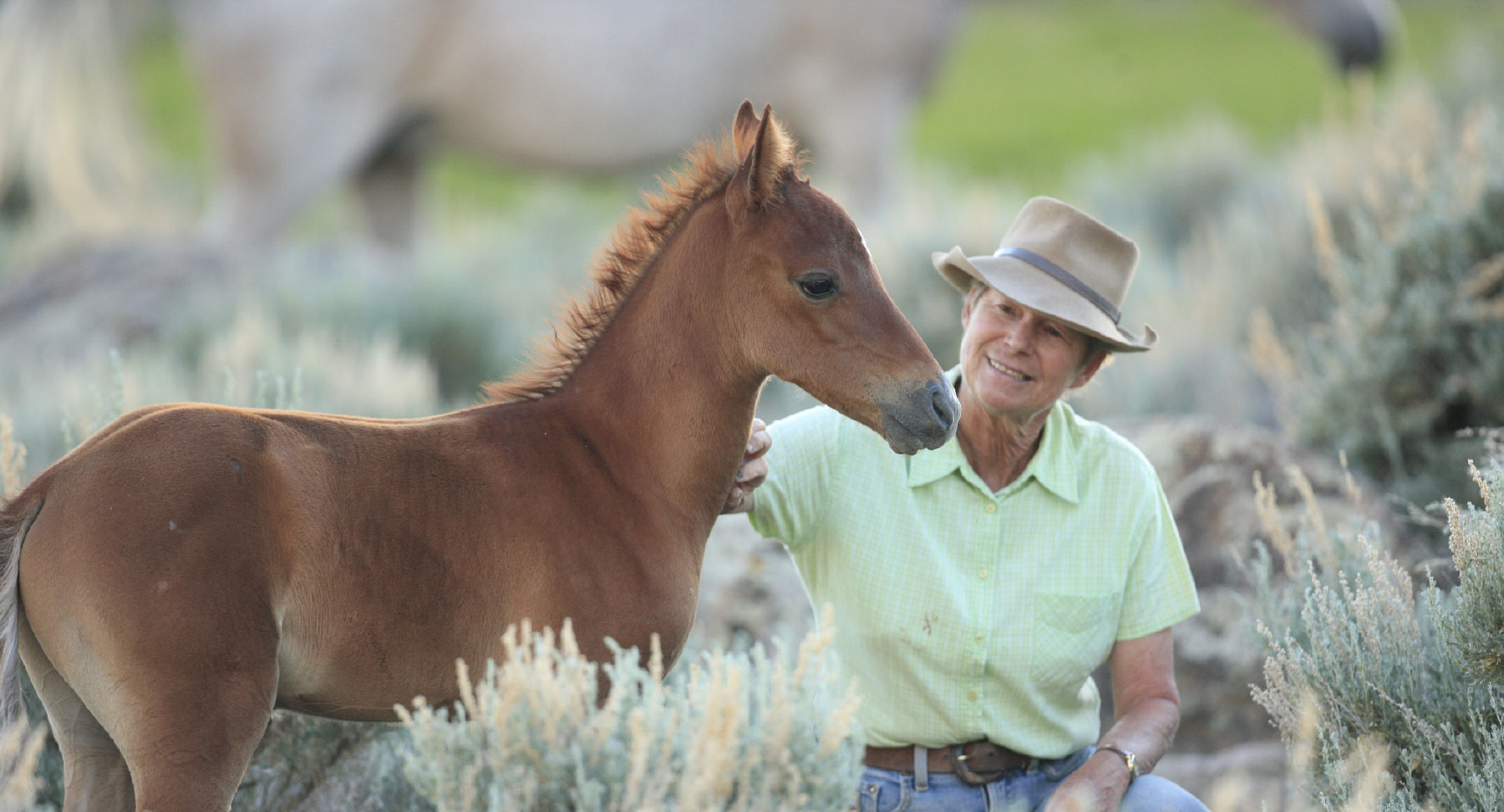 Bitterroot Ranch - Wyoming Dude Ranch Offering Outstanding Horseback Riding