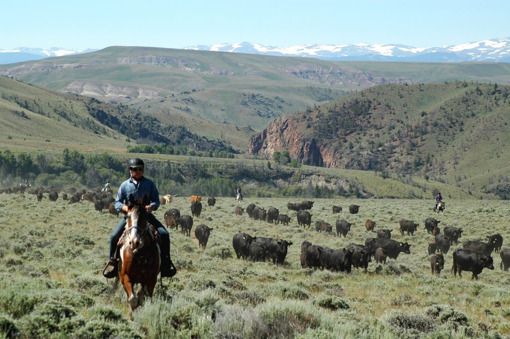 The Ranch - Bitterroot Ranch | Bitterroot Ranch